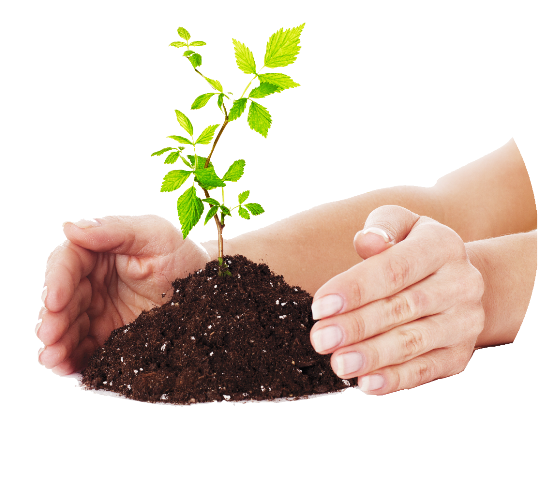 How in-vessel composting works with Big Hanna and produces a safe compost